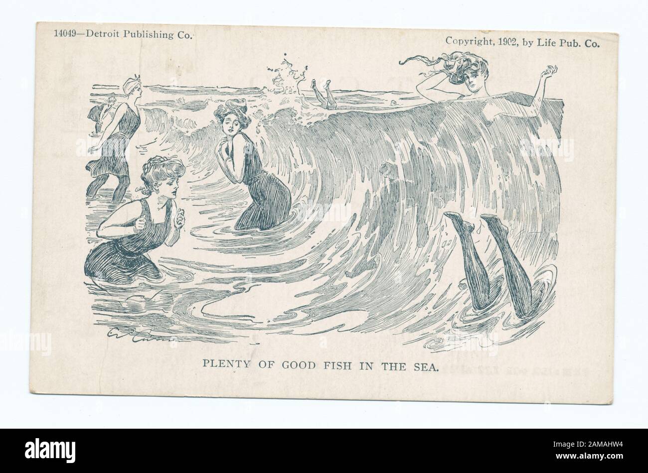 Plenty of Good Fish in the Sea, Life Cartoons Postcard series number ...