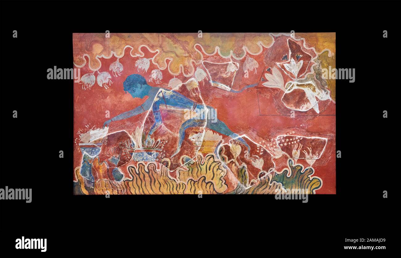 The Minoan 'Blue Boy' or 'Saffron Gatherer' wall art fresco from ...