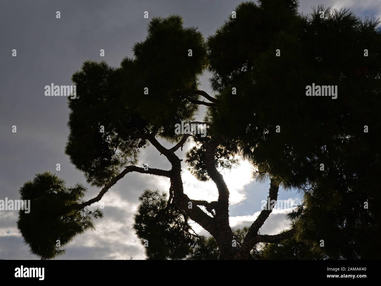 Minimalism silhouette hi-res stock photography and images - Alamy