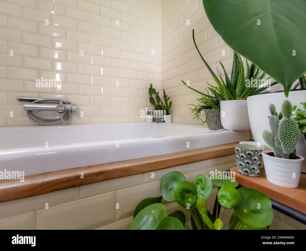 Bright bathroom with subway tiles, wooden details and a variety of ...