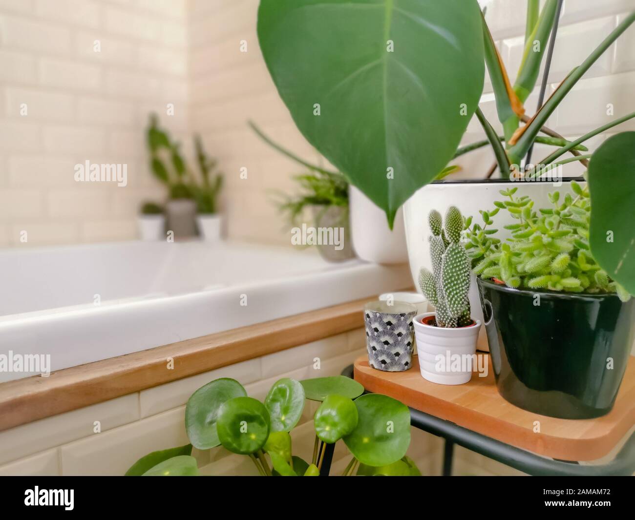 Bright bathroom with subway tiles and a large variety of green potted ...