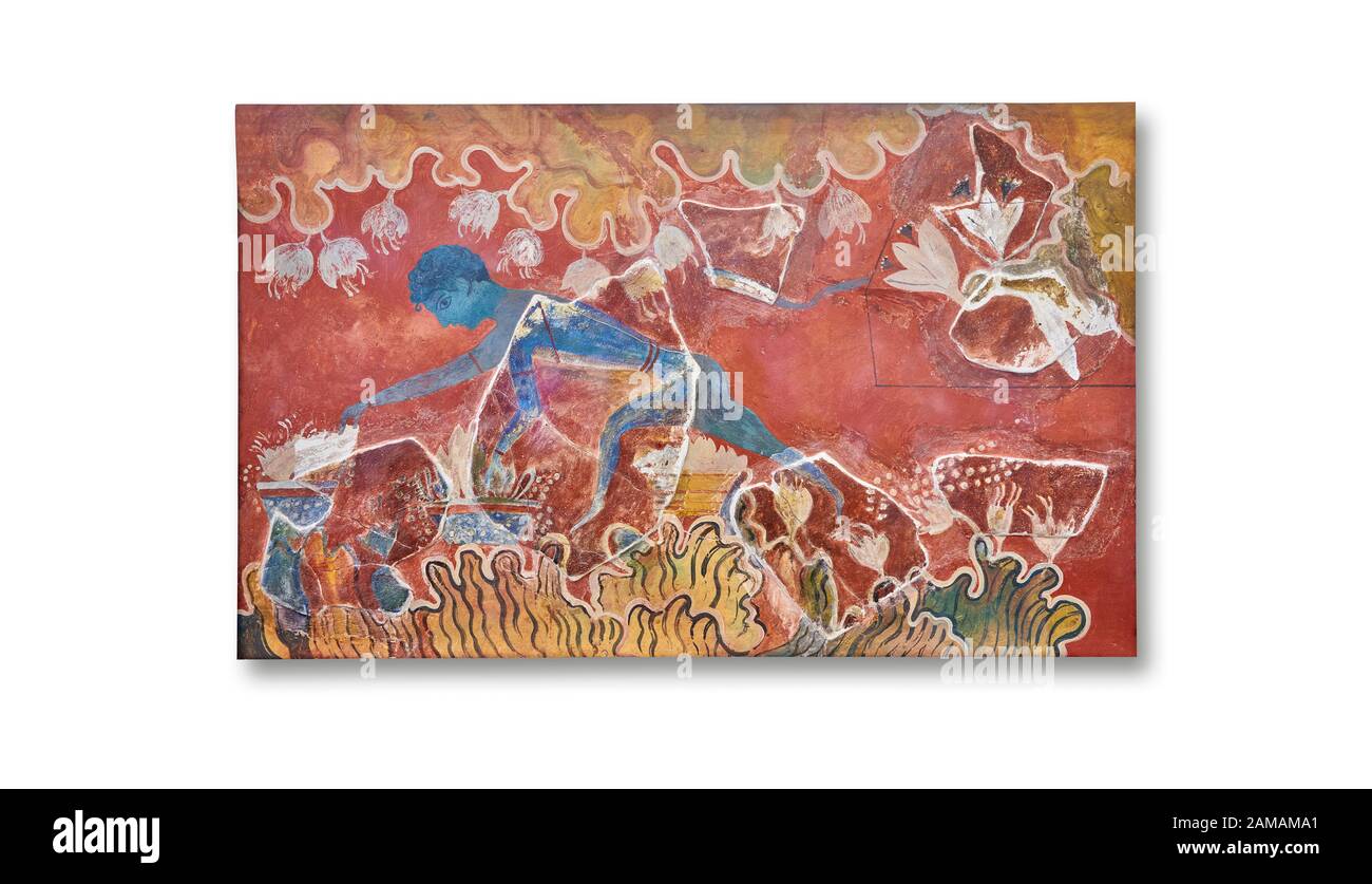 The Minoan 'Blue Boy' or 'Saffron Gatherer' wall art fresco from ...