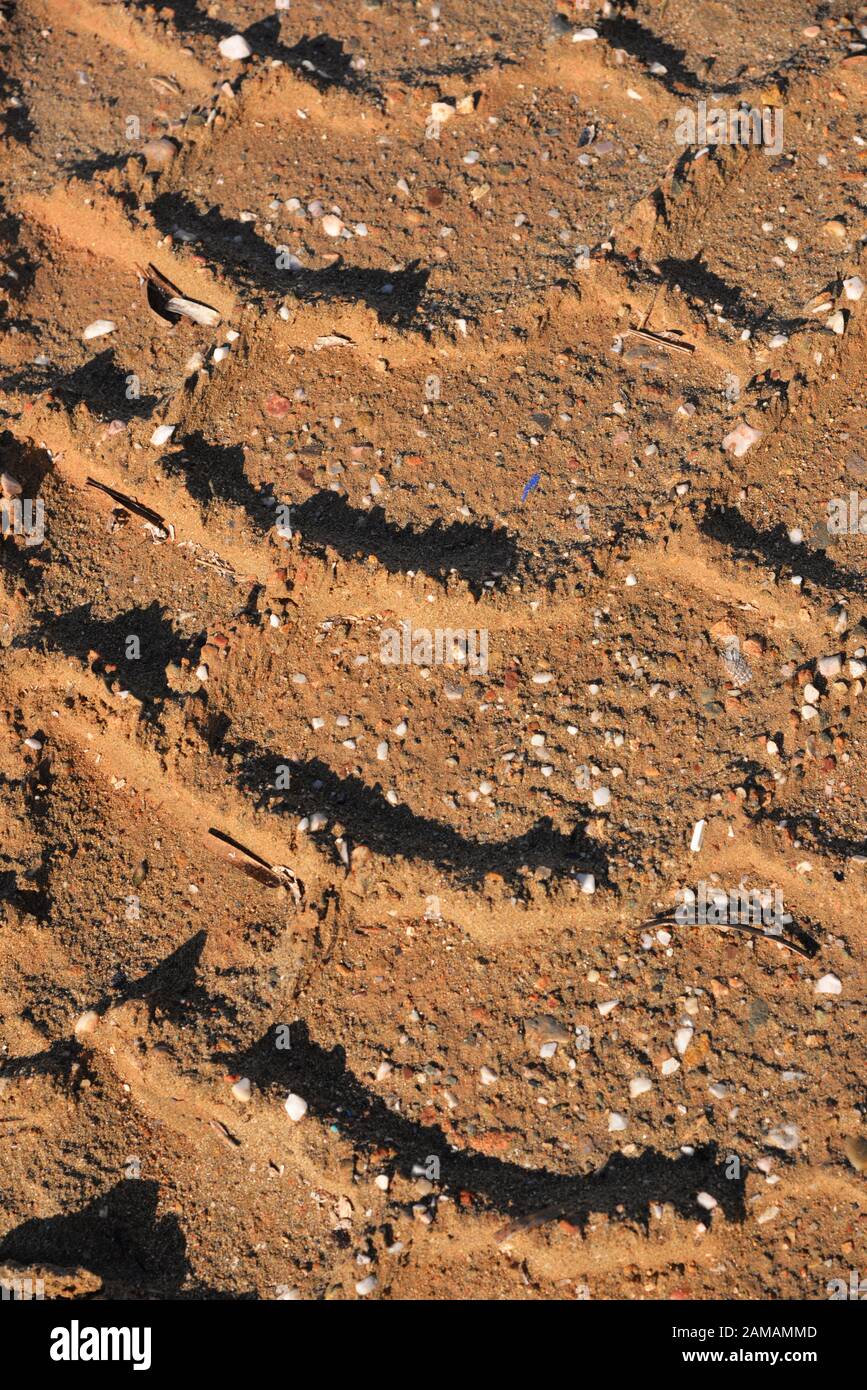 Marks left behind by a tractor wheel on the soil Stock Photo - Alamy
