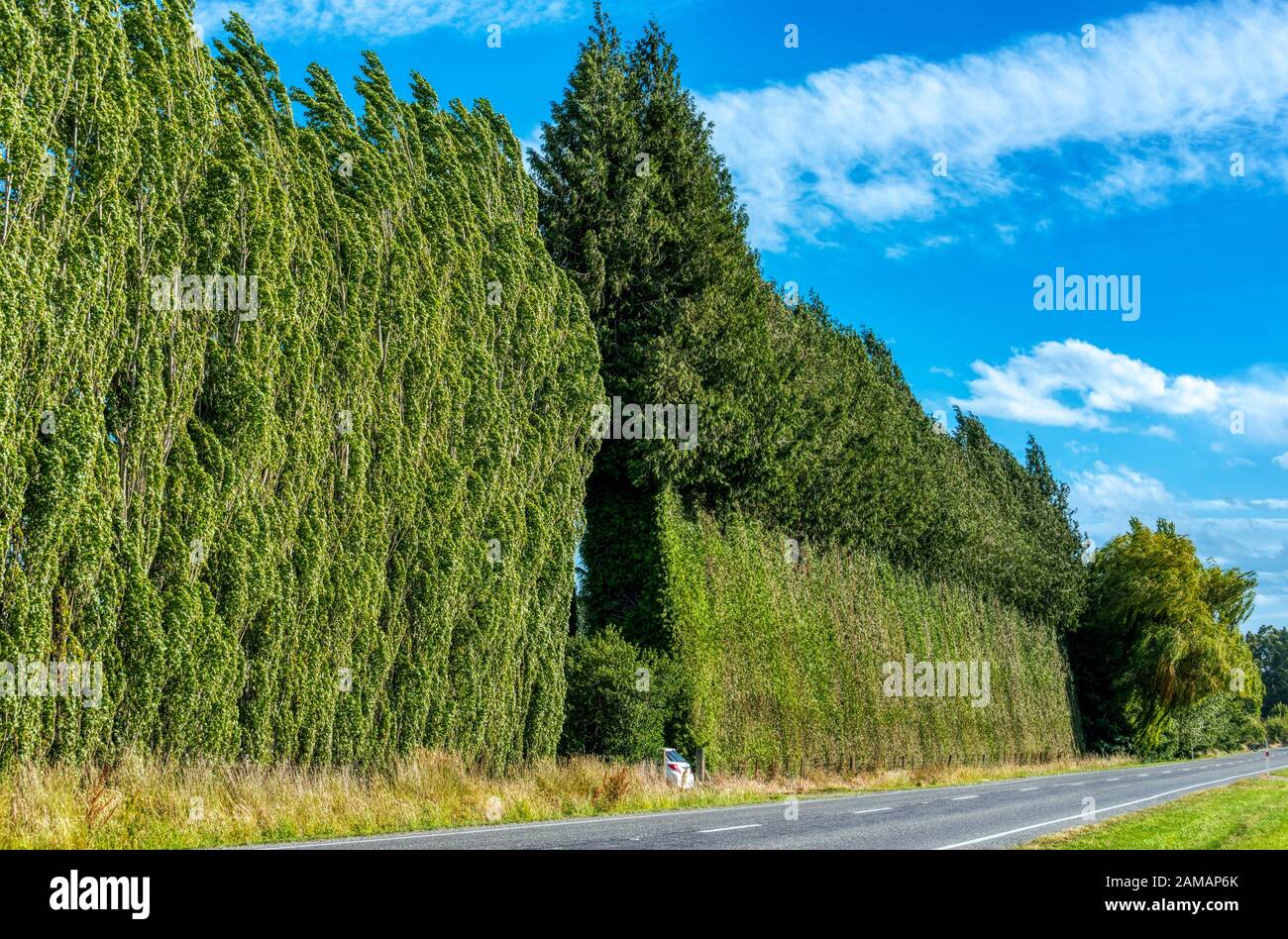 Giant hedging hi-res stock photography and images - Alamy