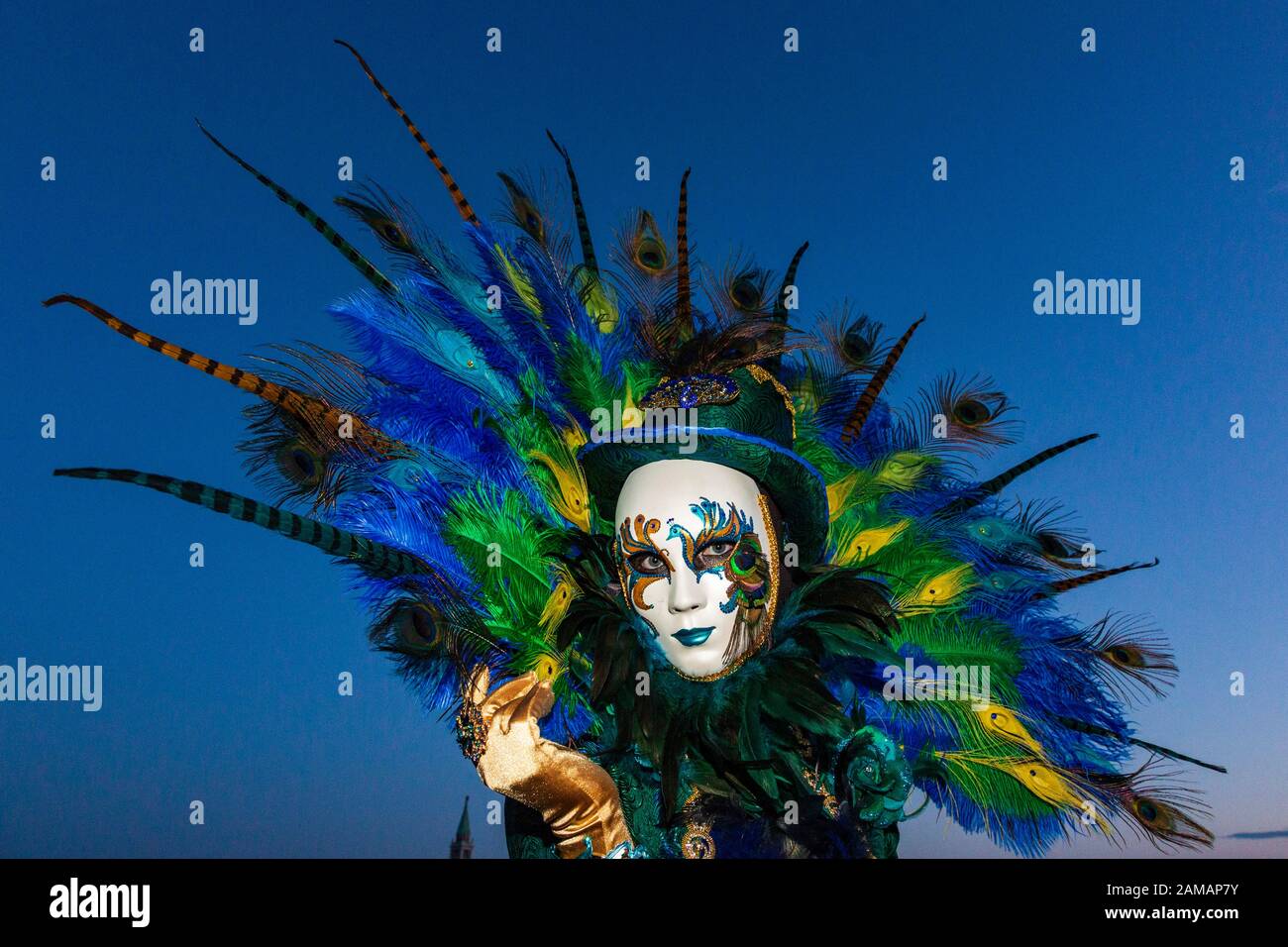 Peacock Costume Carnival High Resolution Stock Photography and Images ...
