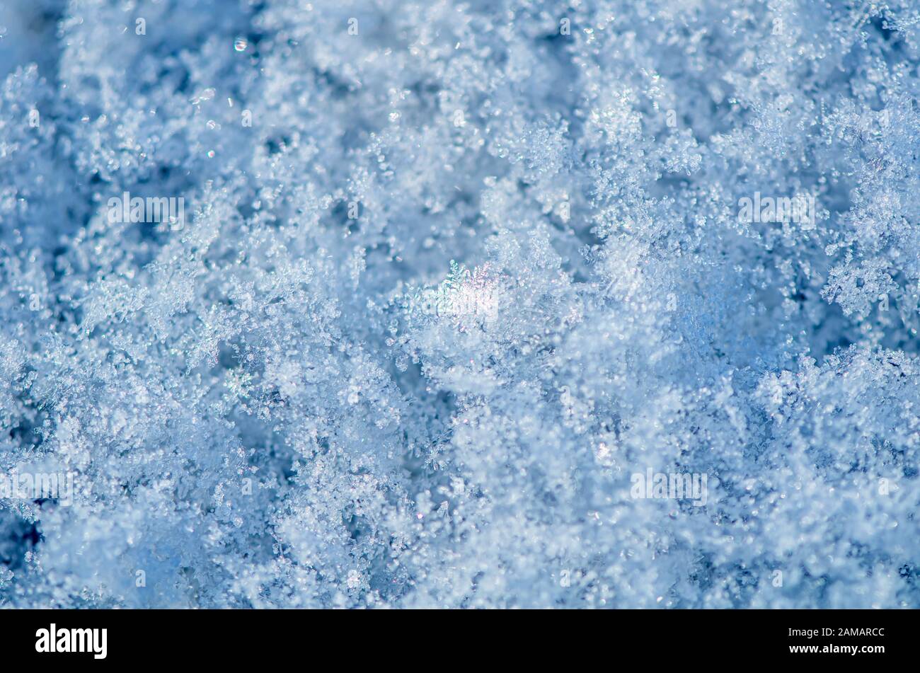 Lots of beautiful winter snowflakes in the sun. background Stock Photo ...