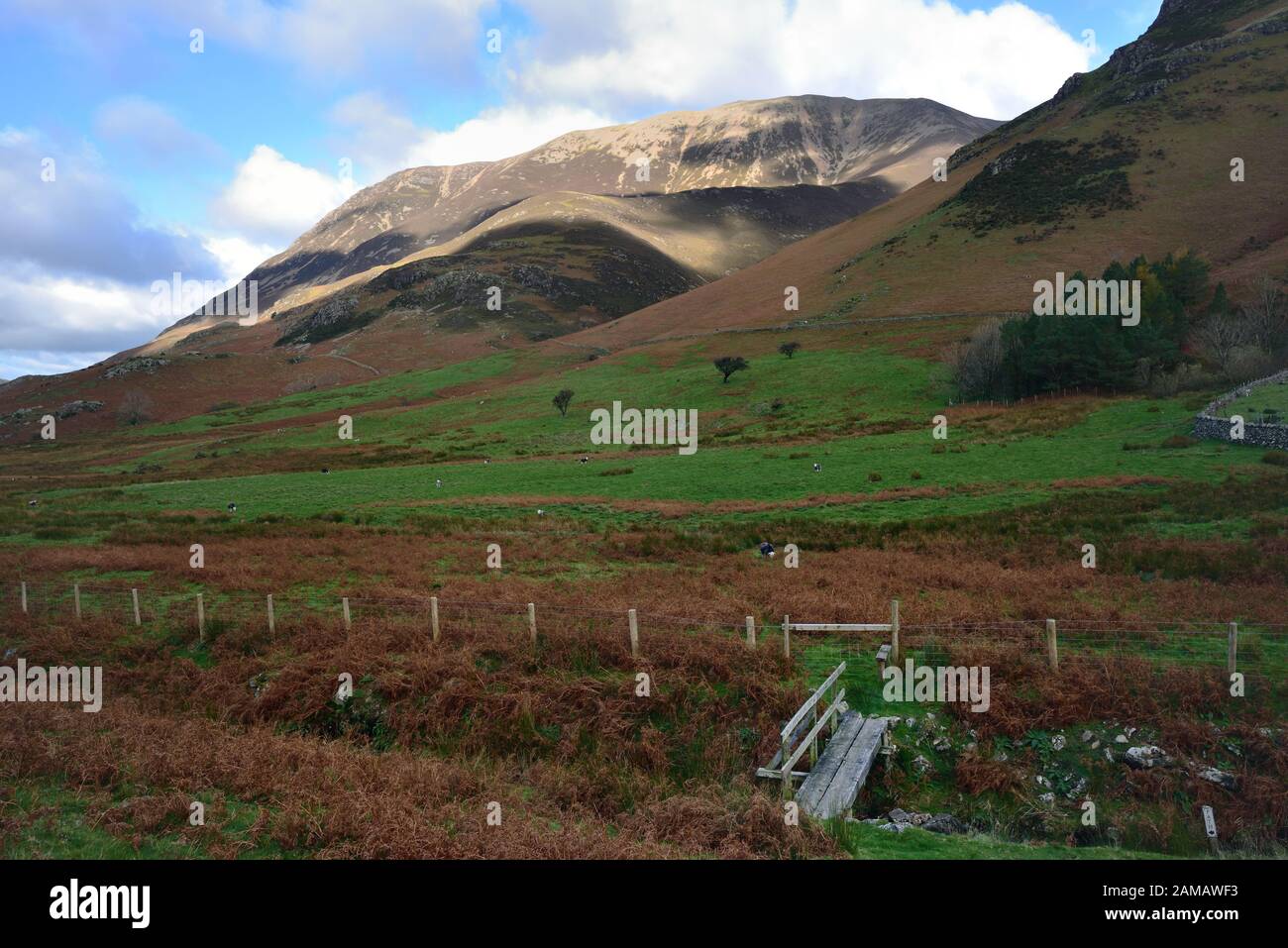 Wooden footbridge over Rowentree Beck Stock Photo - Alamy