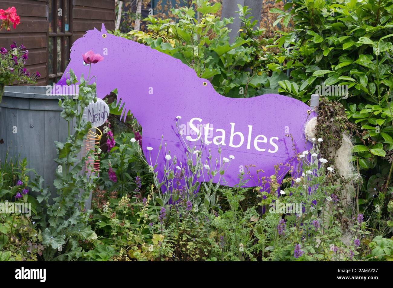 Cardboard cut out of a purple pony in a wild flower garden, The Stables ...