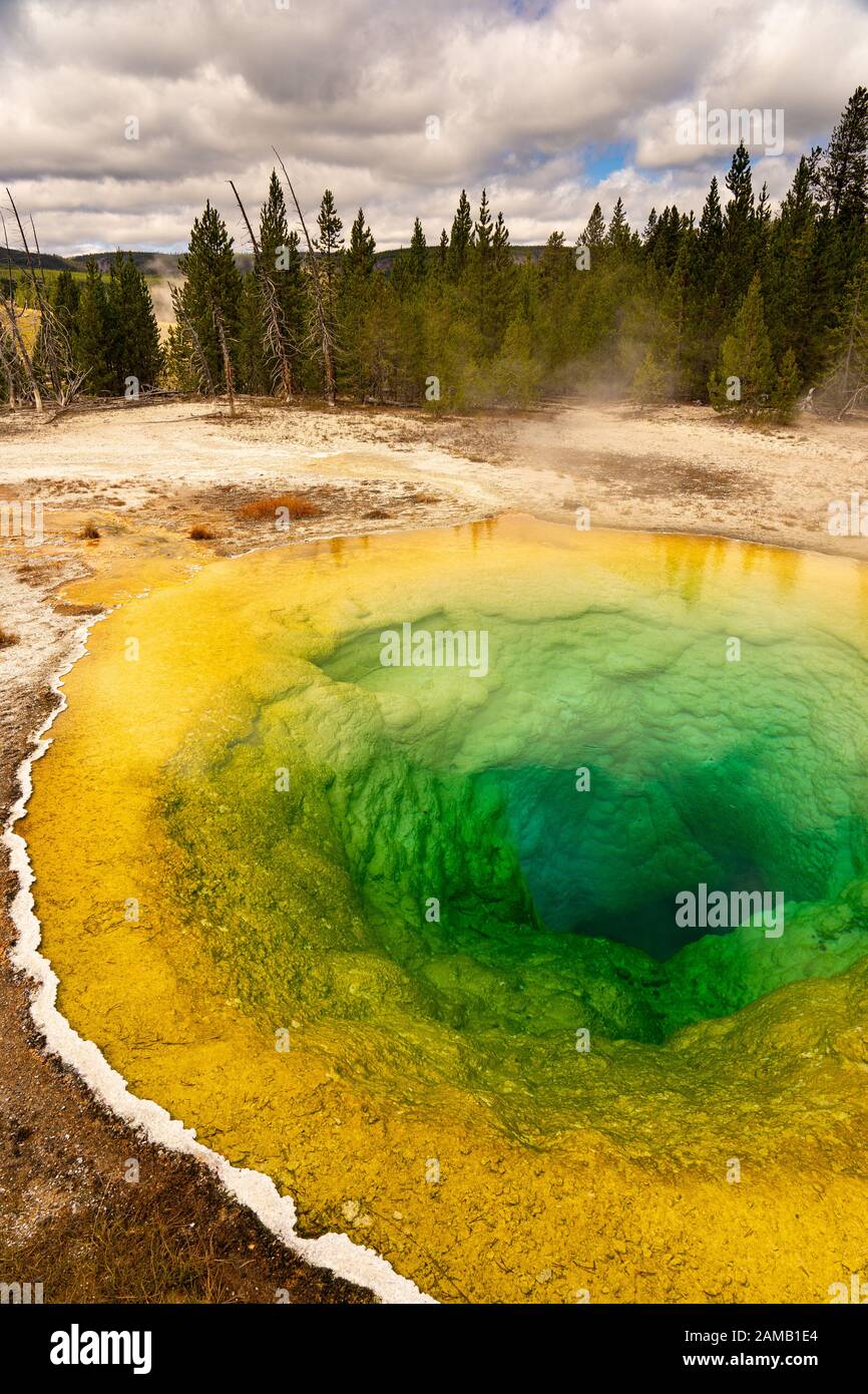 Morning Glory Pool im Yellowstone Nationalpark Stock Photo - Alamy