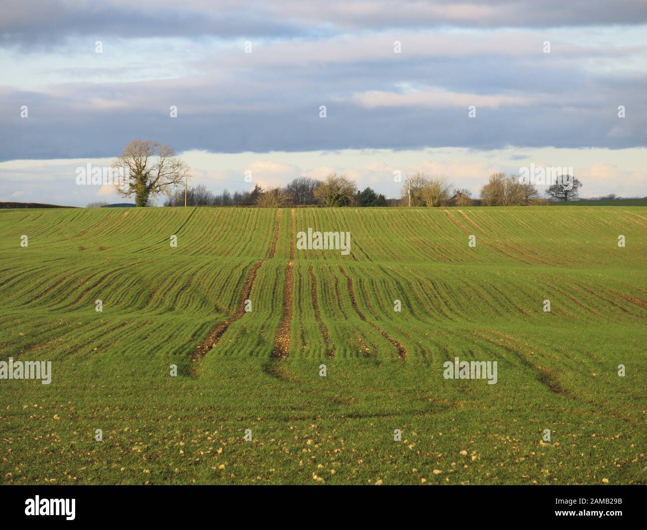 A landscape of parallel lines in a ploughed field in winter; an English ...