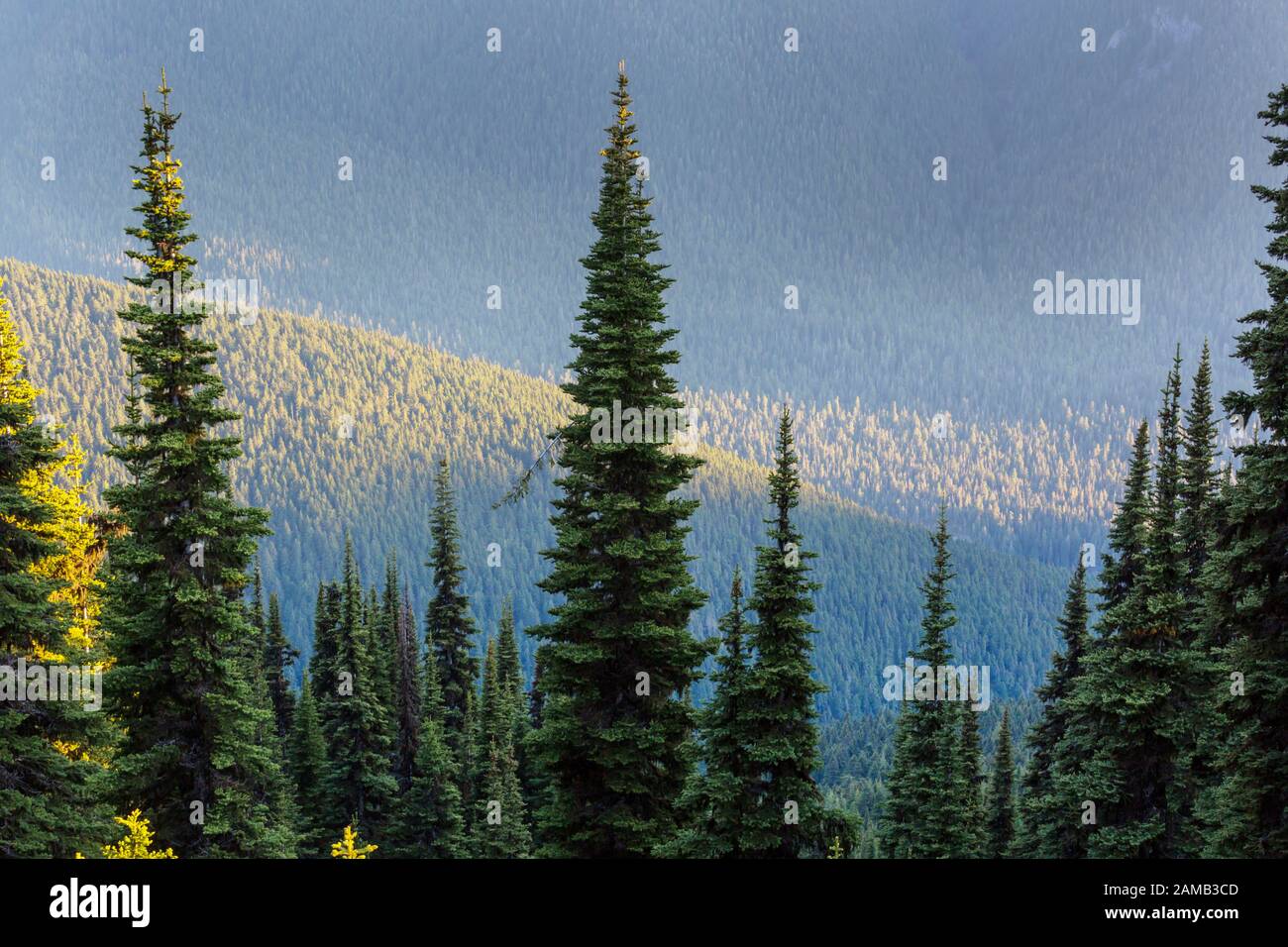 Summer green hills in mountains, Alaska Stock Photo - Alamy