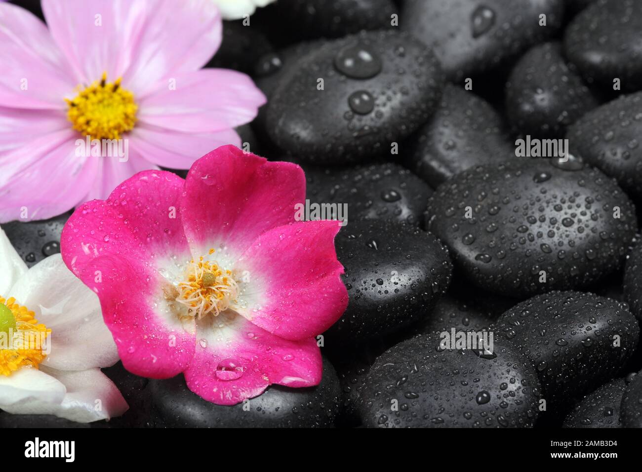 Birthday stones hi-res stock photography and images - Alamy
