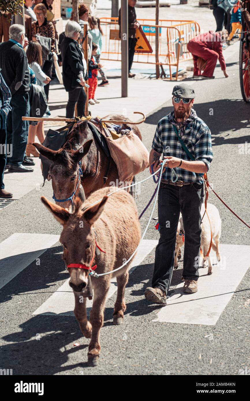 Saint anthonys festival hi-res stock photography and images - Alamy