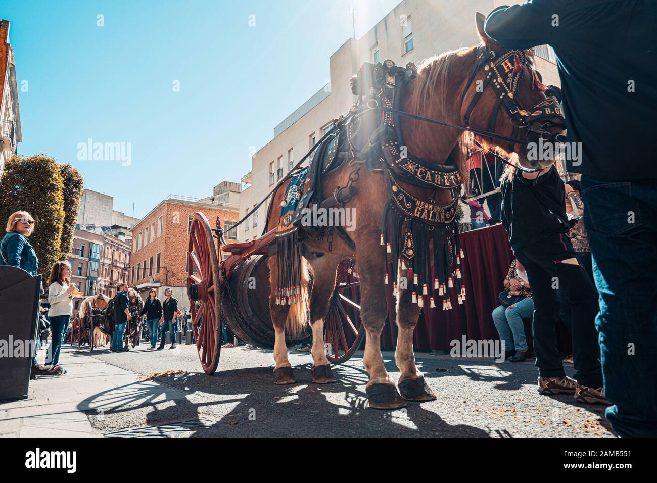 Reus, Spain. March 2019: Horses blessing in St. Anthony's day Stock ...