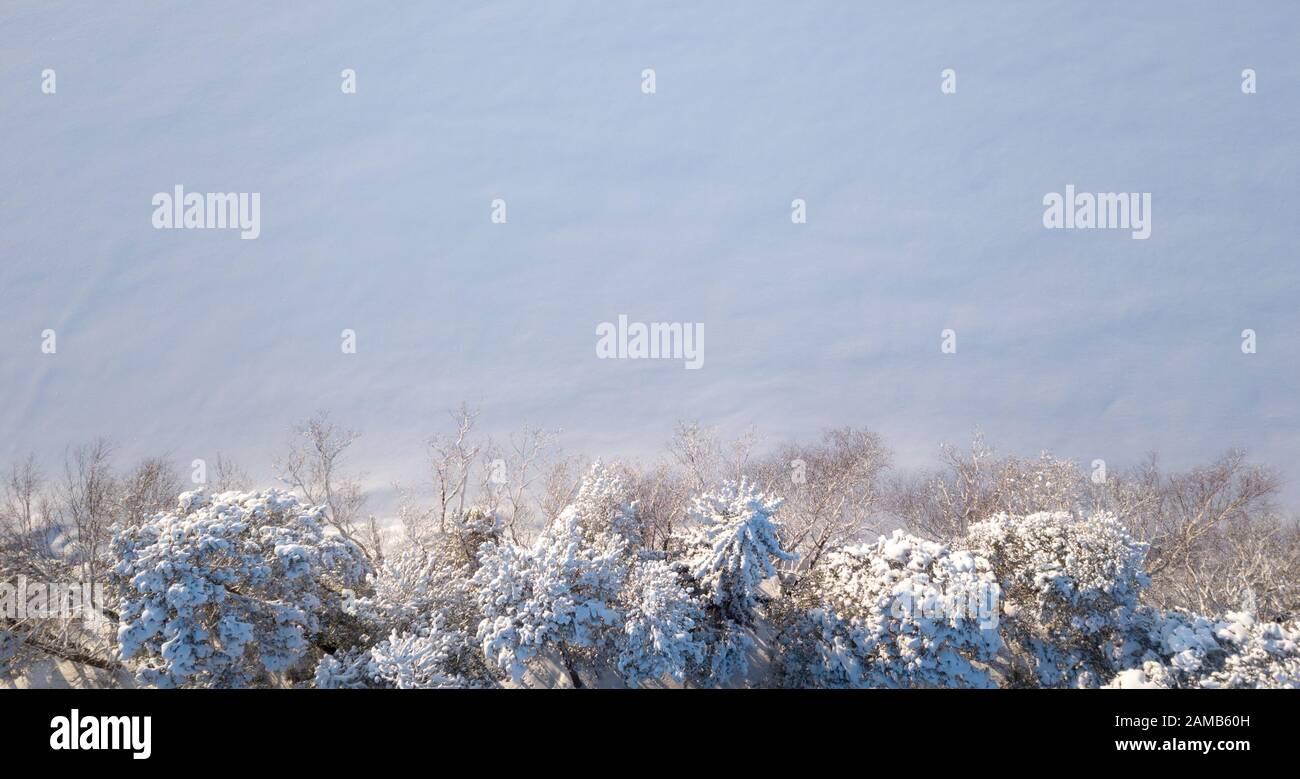 Snowy shoreline hi-res stock photography and images - Alamy