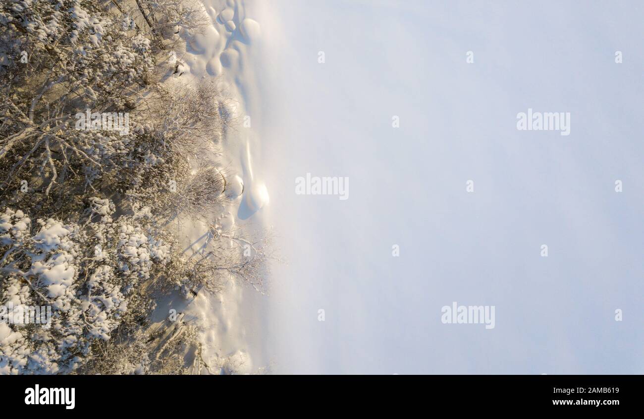 Aerial view of shoreline of frozen lake with snowy trees Stock Photo ...