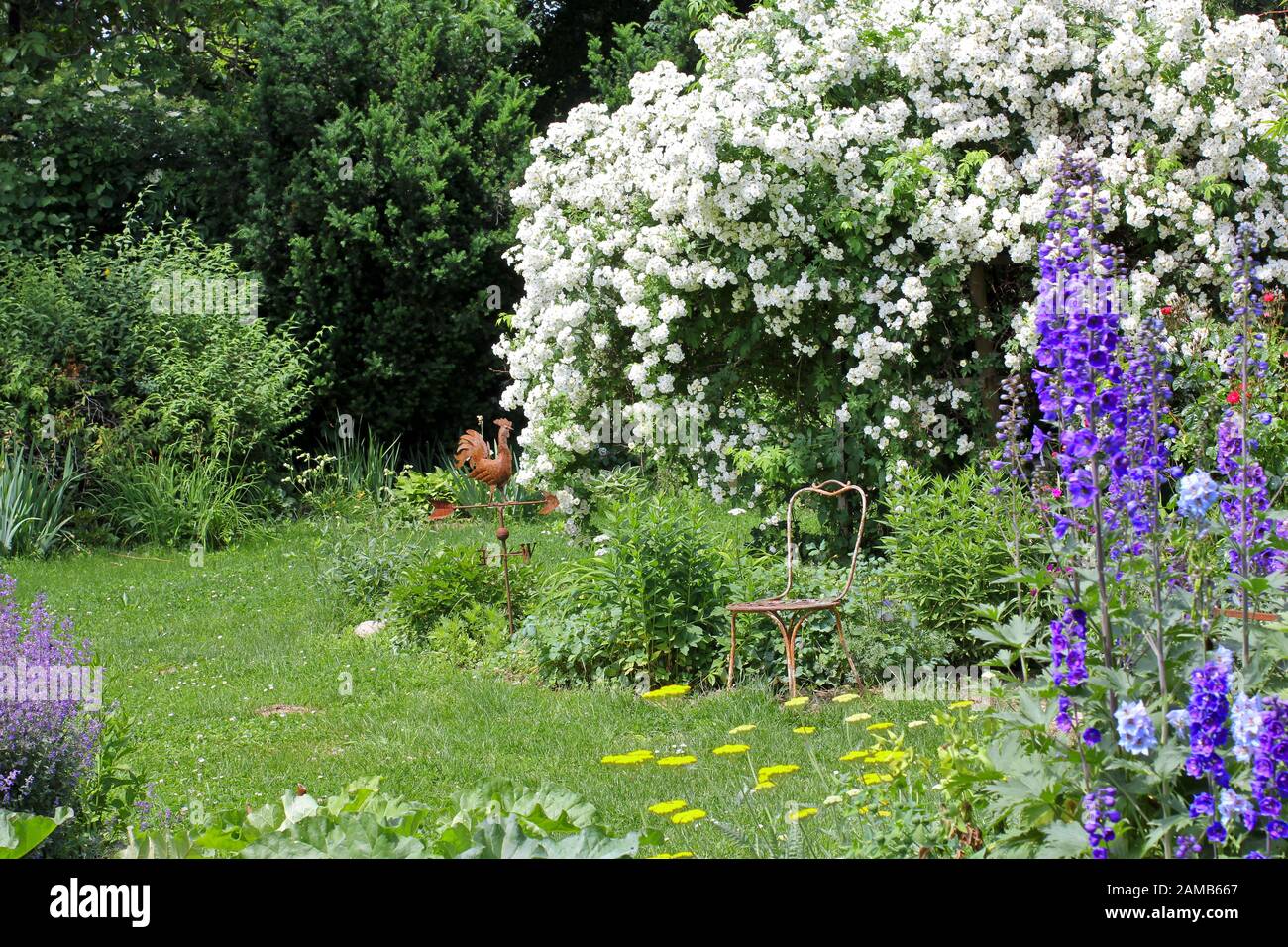 Gardens with blue delphinium and roses Stock Photo - Alamy
