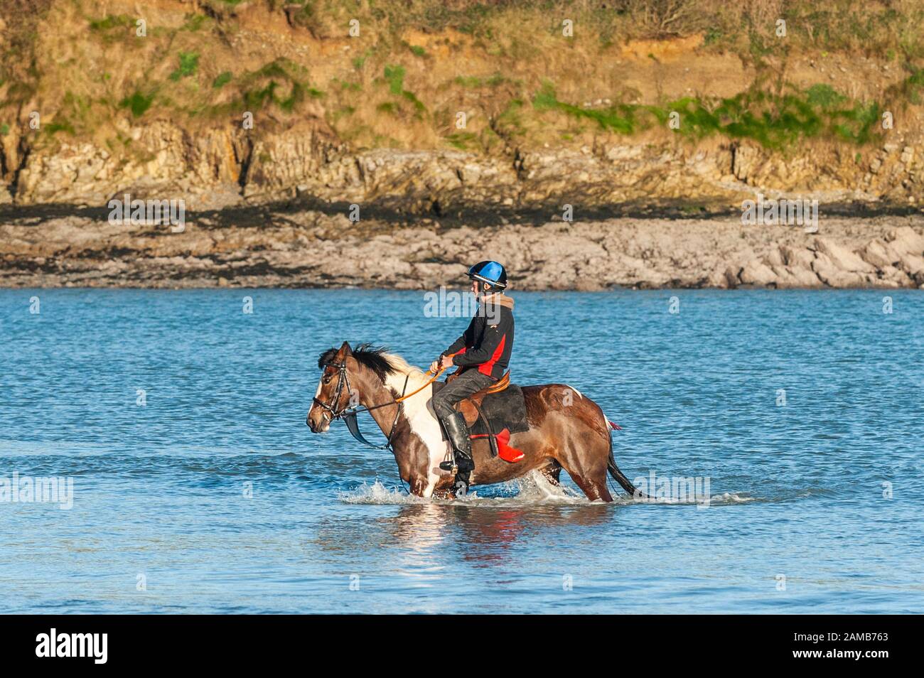 Butlerstown, West Cork, Ireland. 12th Jan, 2020. The annual Carberry ...