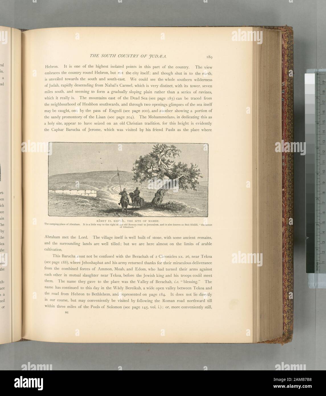 Râmat el Khulîl, the sight of Mamre The camping place of Abraham It is ...