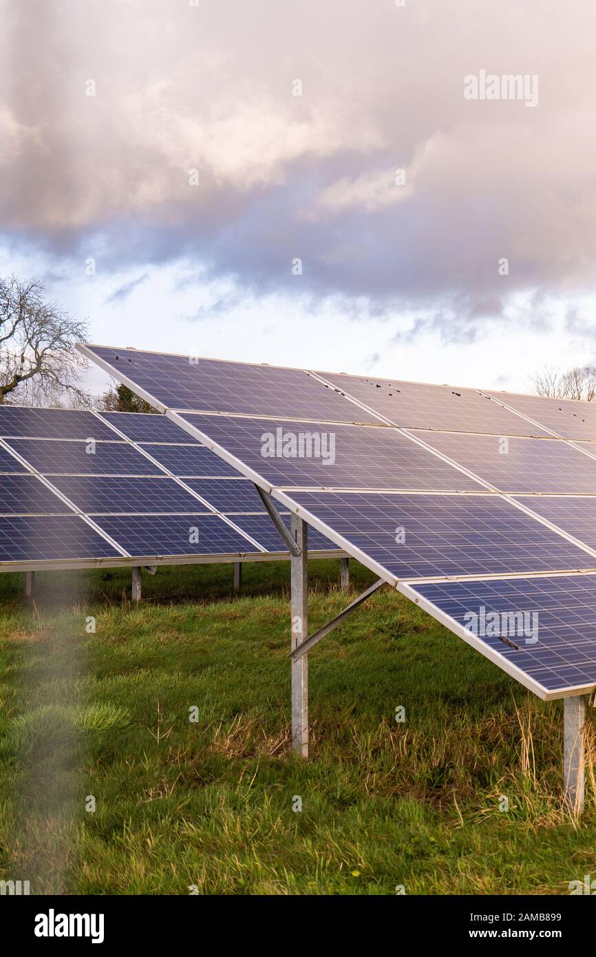 Ground view of a solar farm in Staffordshire, renewable, sustainable ...