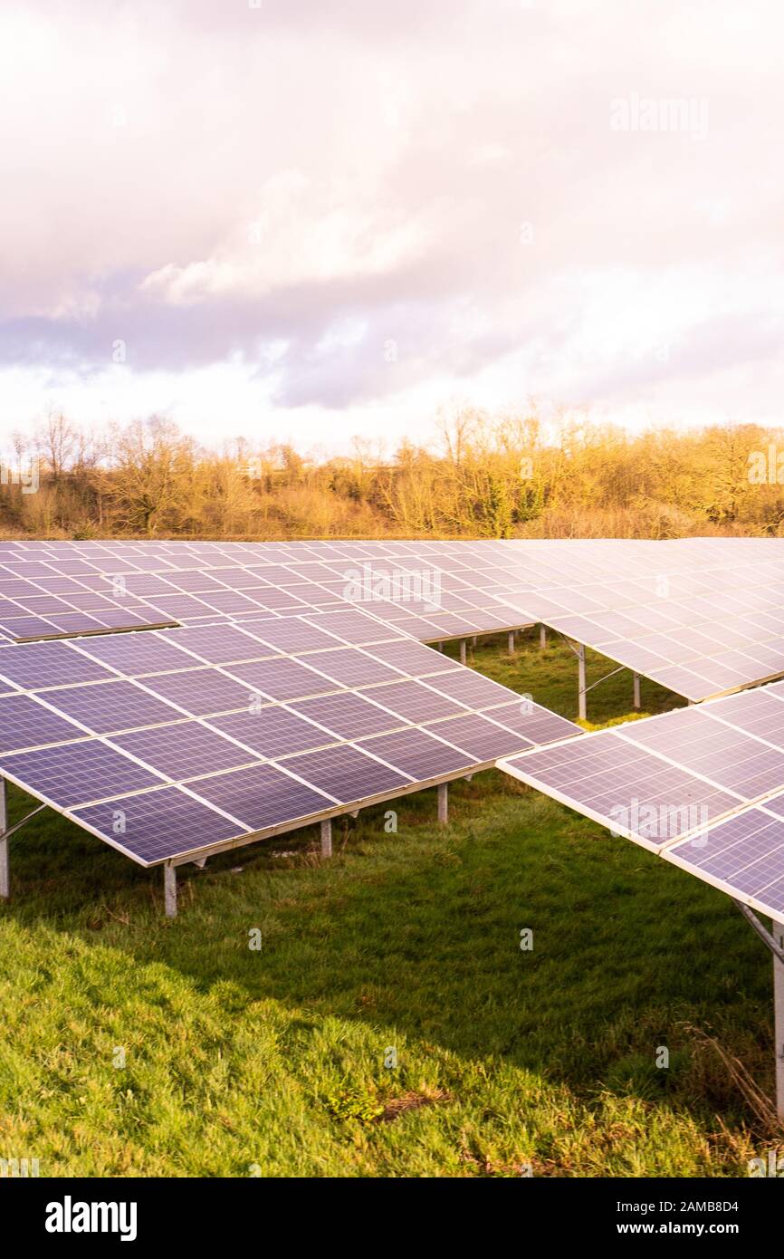 Ground view of a solar farm in Staffordshire, renewable, sustainable ...