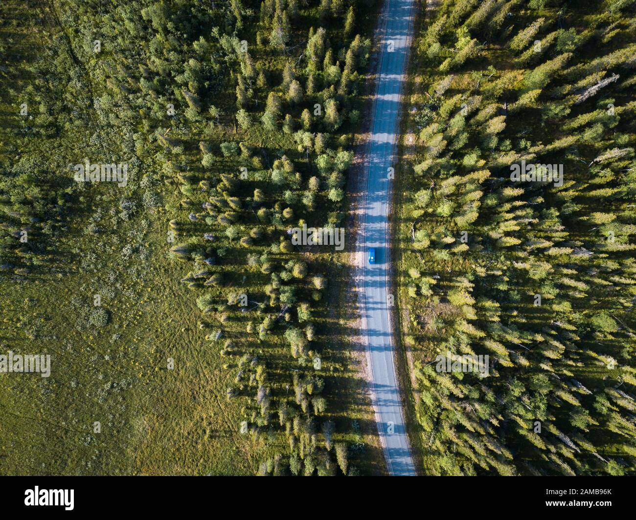 Vertical view of car driving on forest road Stock Photo - Alamy