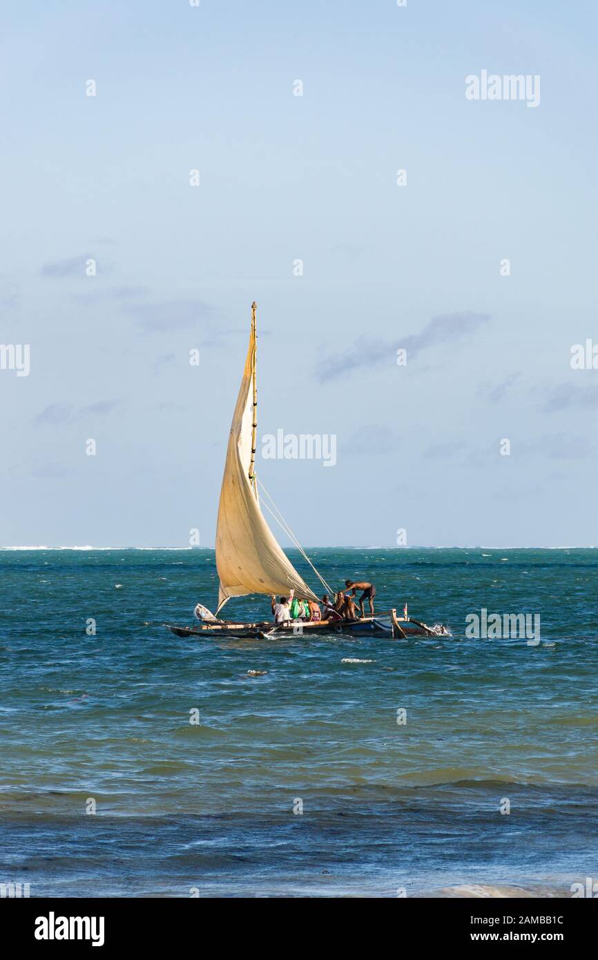 A traditional wooden dow sailing boat with passengers sailing on the ...