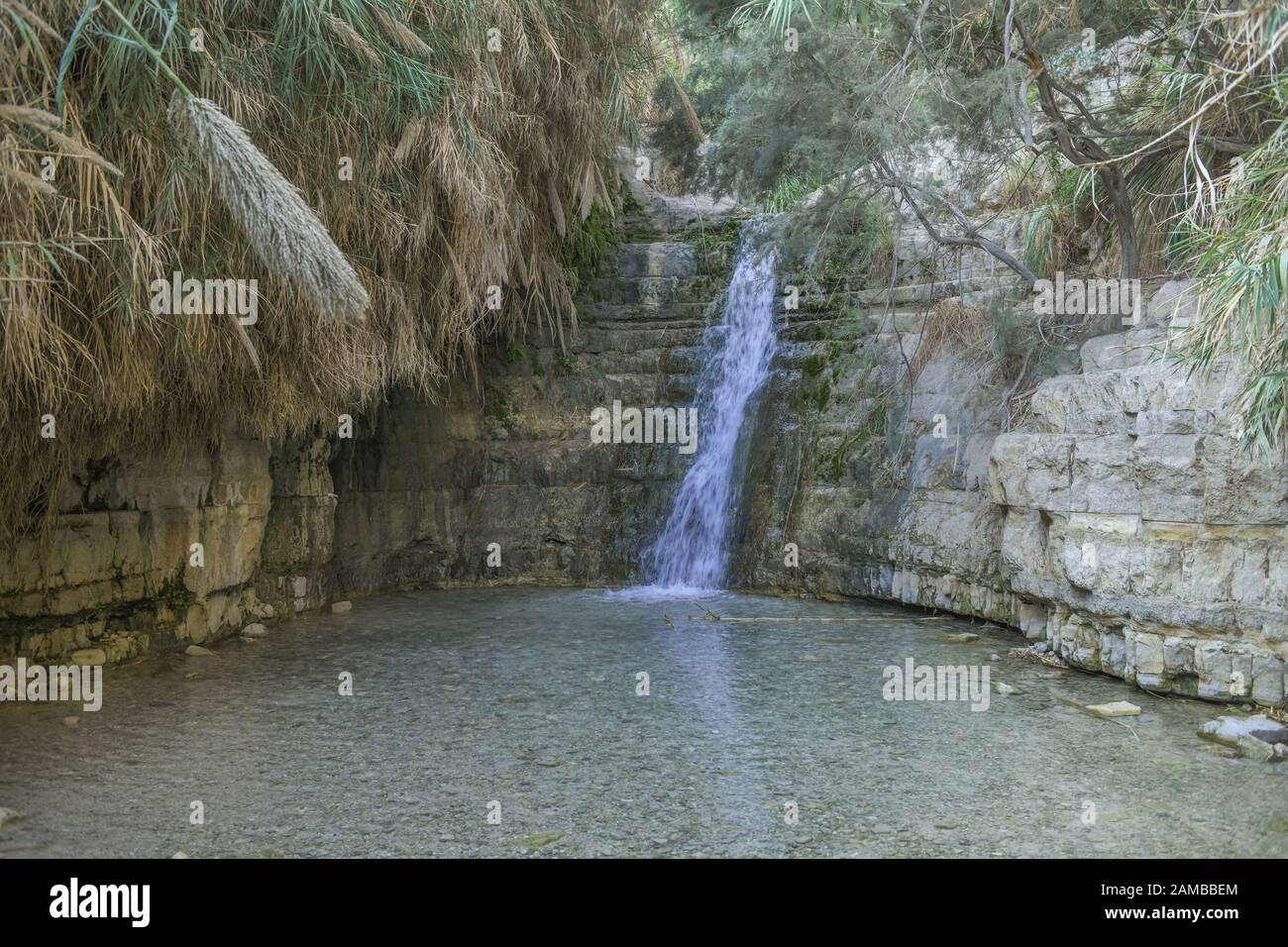 Davids Wasserfall, Wadi David, Naturreservat Ein Gedi, Israel Stock ...