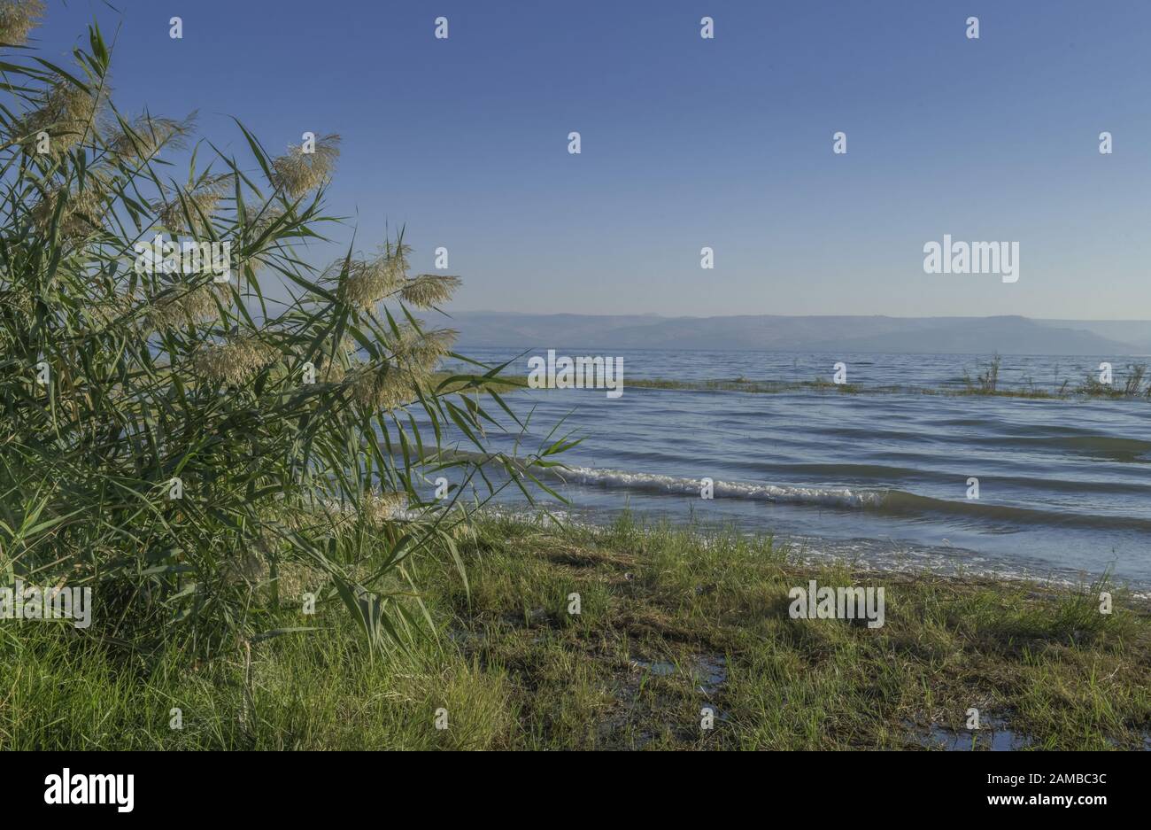 Strand bei Migdal, See Genezareth, Israel Stock Photo - Alamy