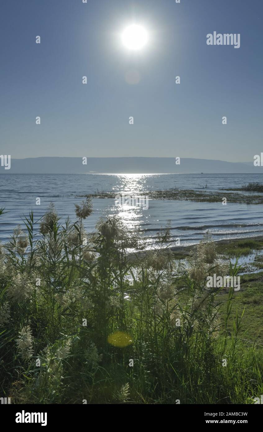 Strand bei Migdal, See Genezareth, Israel Stock Photo - Alamy