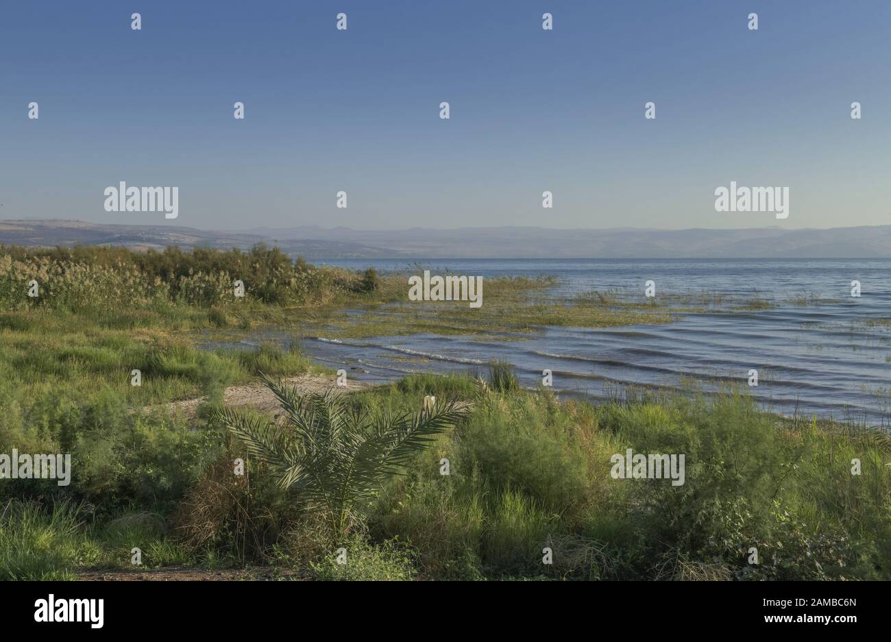 Strand bei Migdal, See Genezareth, Israel Stock Photo - Alamy