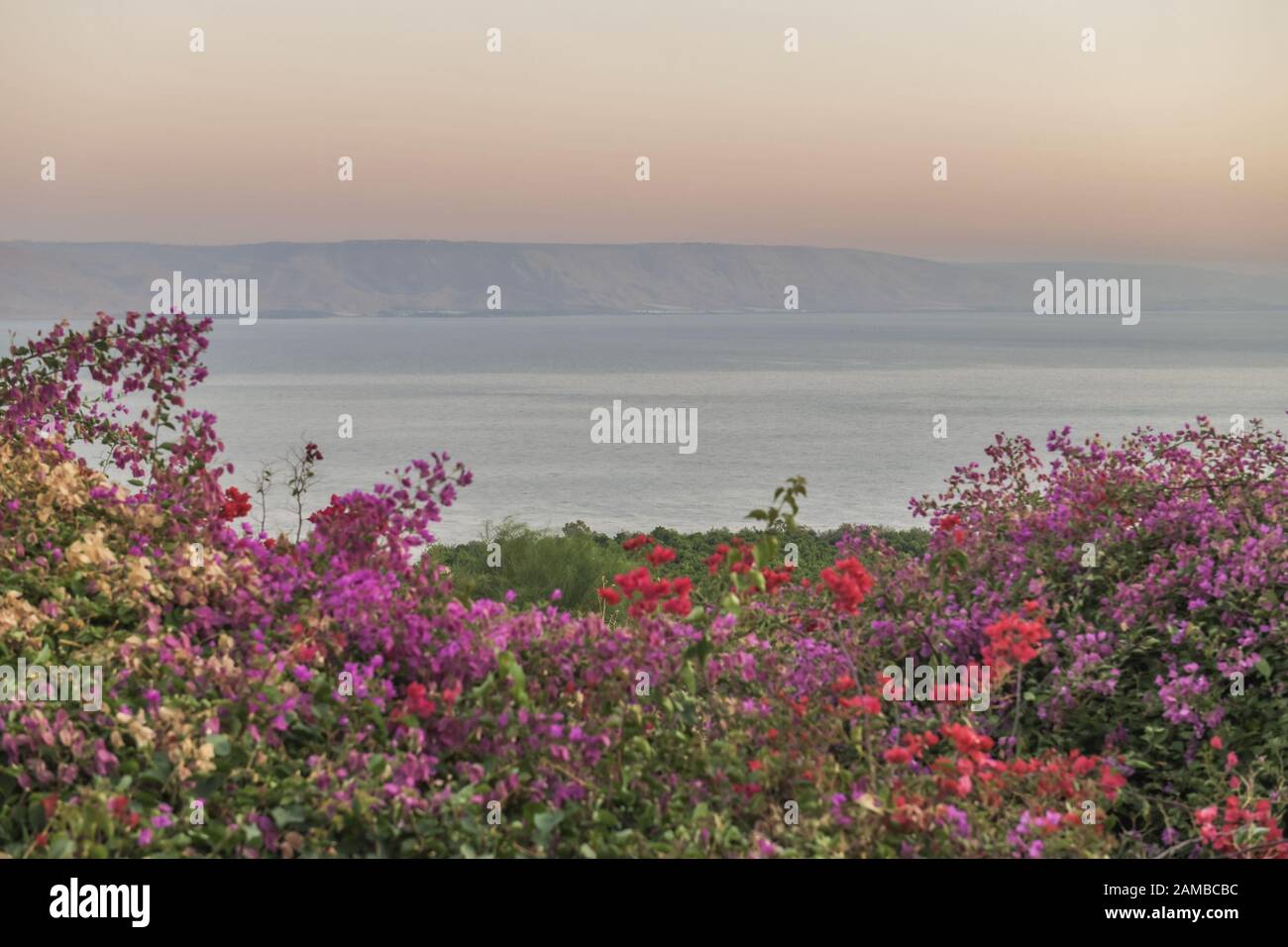 See Genezareth bei Tiberias, Israel Stock Photo - Alamy