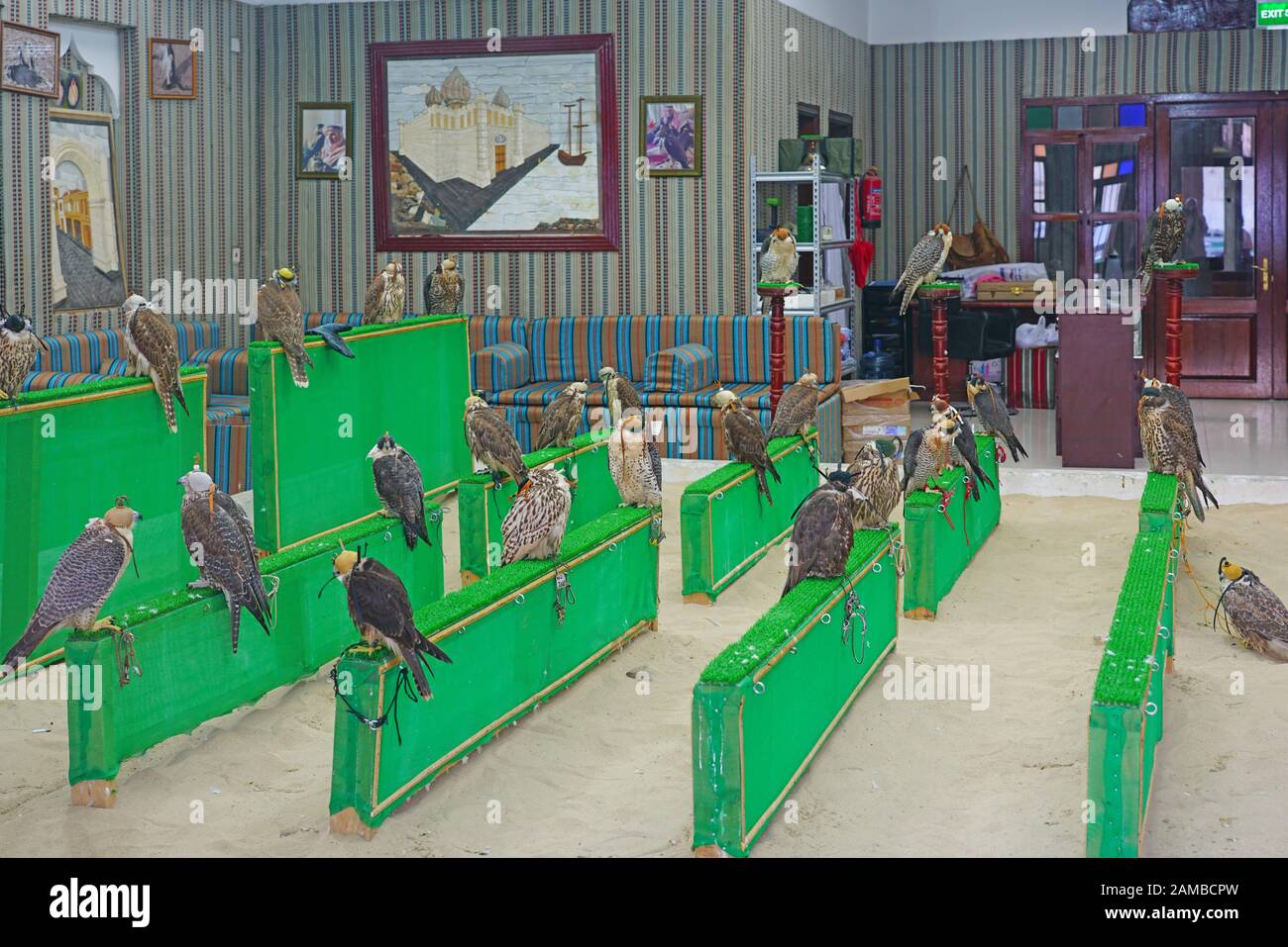 Qatar bird view hi-res stock photography and images - Alamy