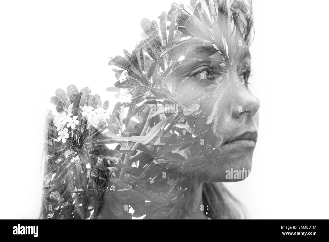 Double exposure monochrome abstract conceptual hi-res stock photography ...