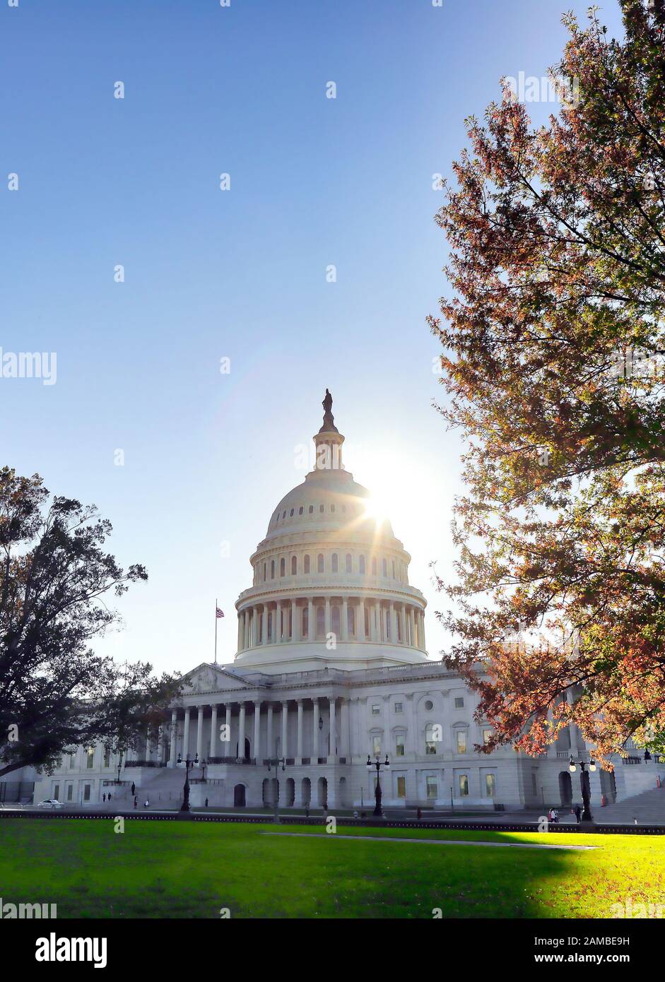 The United States Capitol Building in Washington, DC Stock Photo - Alamy
