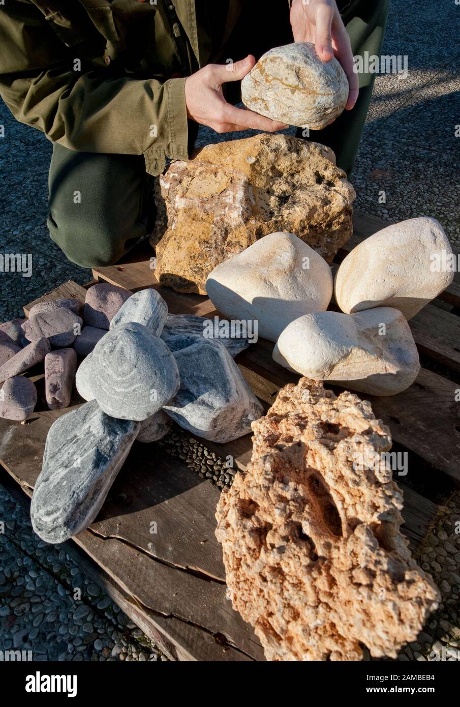 Gardener shows different types of rocks, to build a rock garden Stock ...