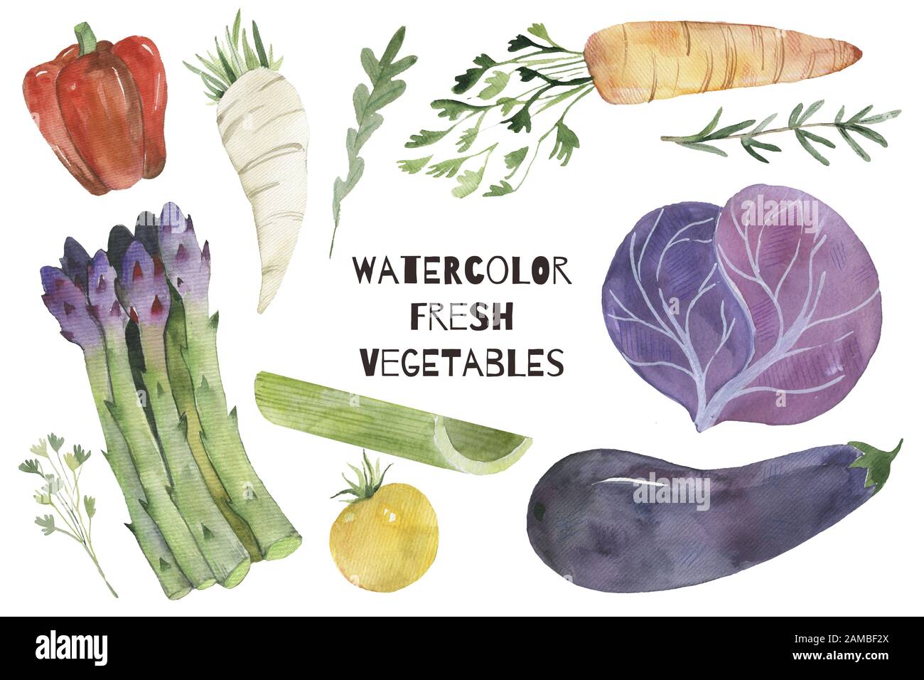 Vegetable Painting Designs
