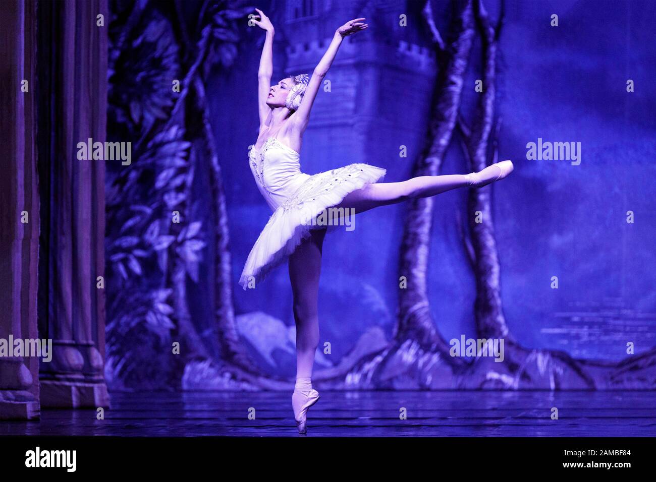 The Russian National Ballet from Moscow makes a guest appearance with ...