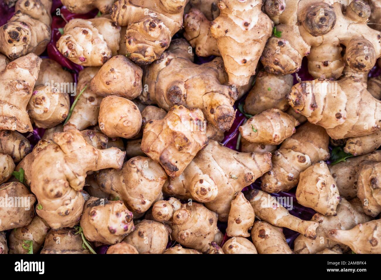 A pile of very delicious exotic vegetables, sunroot in a grocery Stock ...