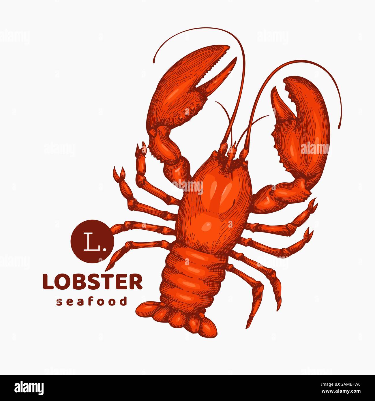 Lobster colored illustration. Hand drawn vector seafood illustration ...