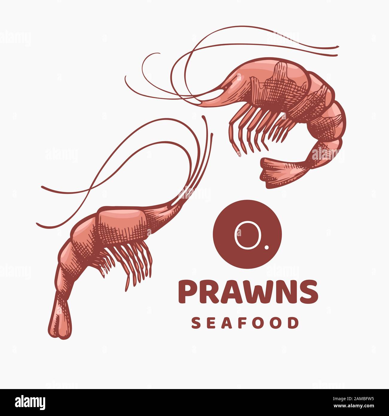 Prawns colored illustrations. Hand drawn vector seafood illustration ...