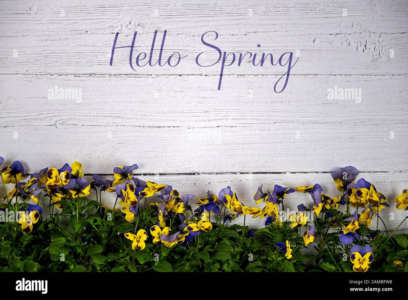 background with white wooden wall in the lower third colored horned ...
