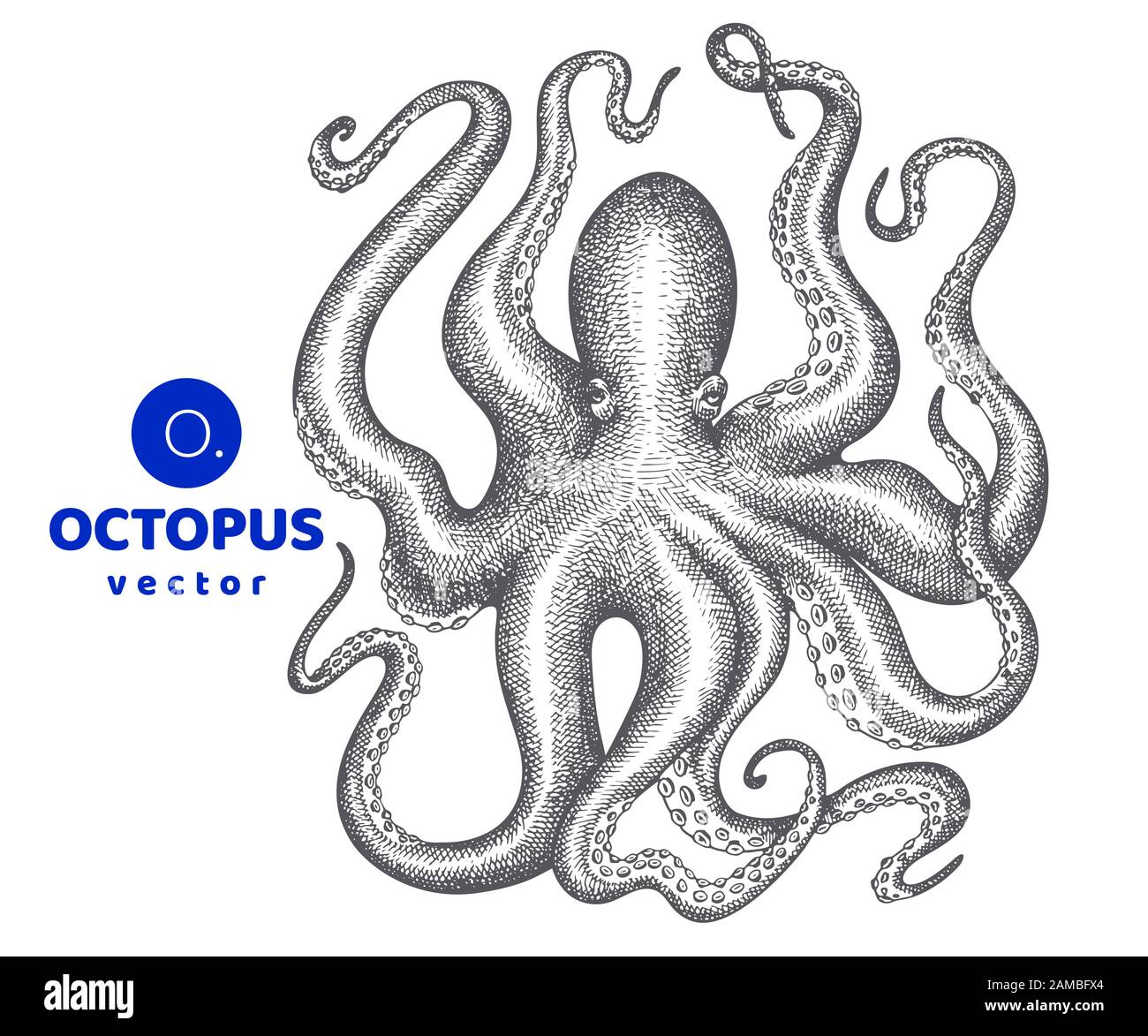 Vintage Octopus Vector