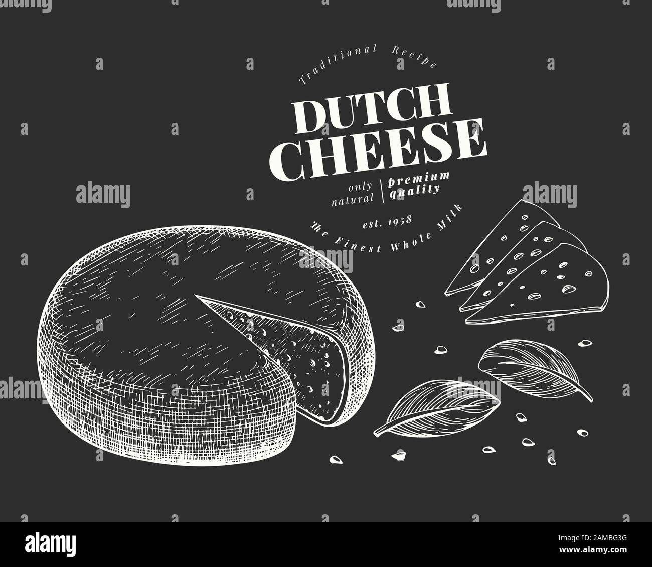 Dutch cheese illustration. Hand drawn vector dairy illustration on ...