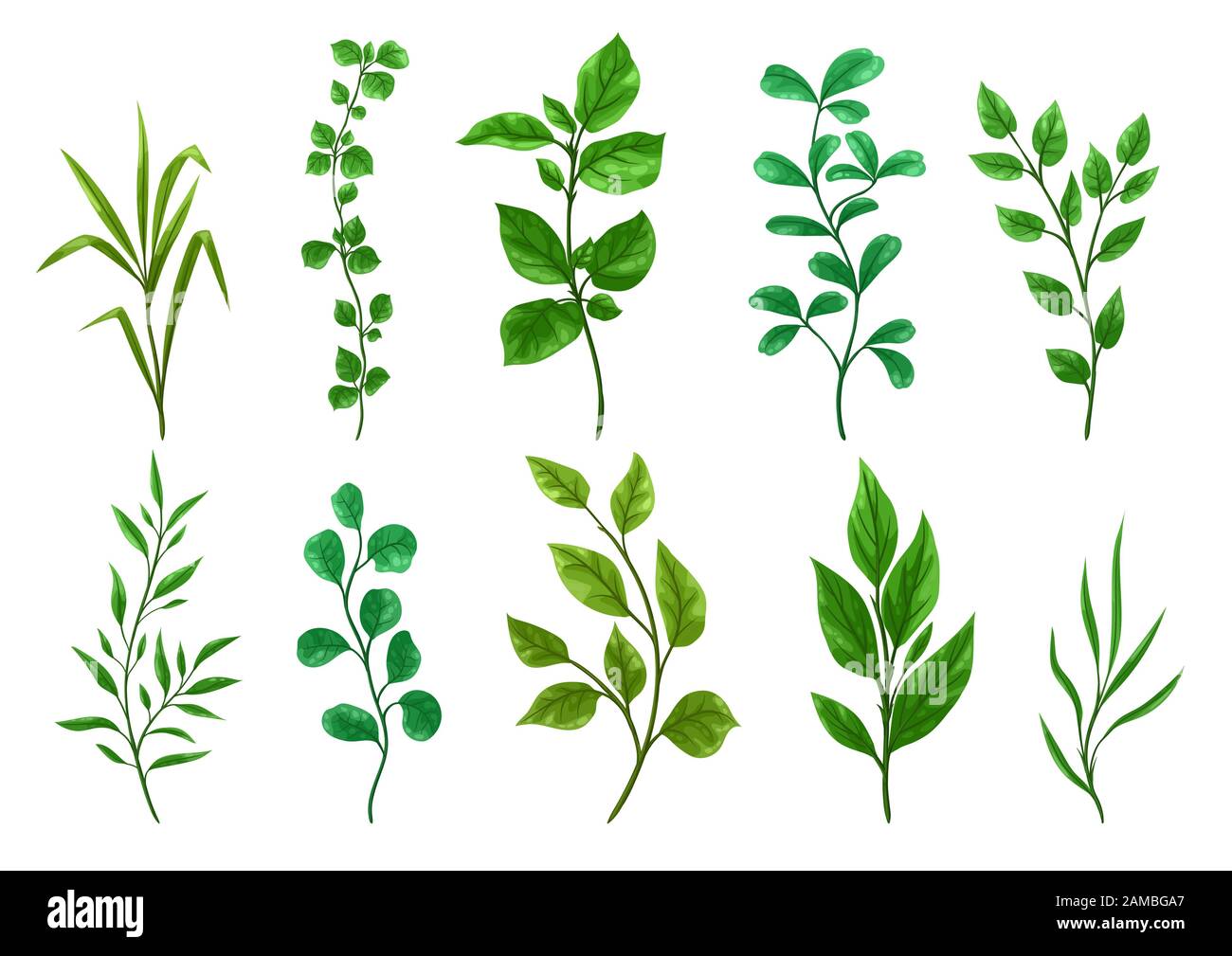 Natural sprigs Stock Vector Images - Alamy