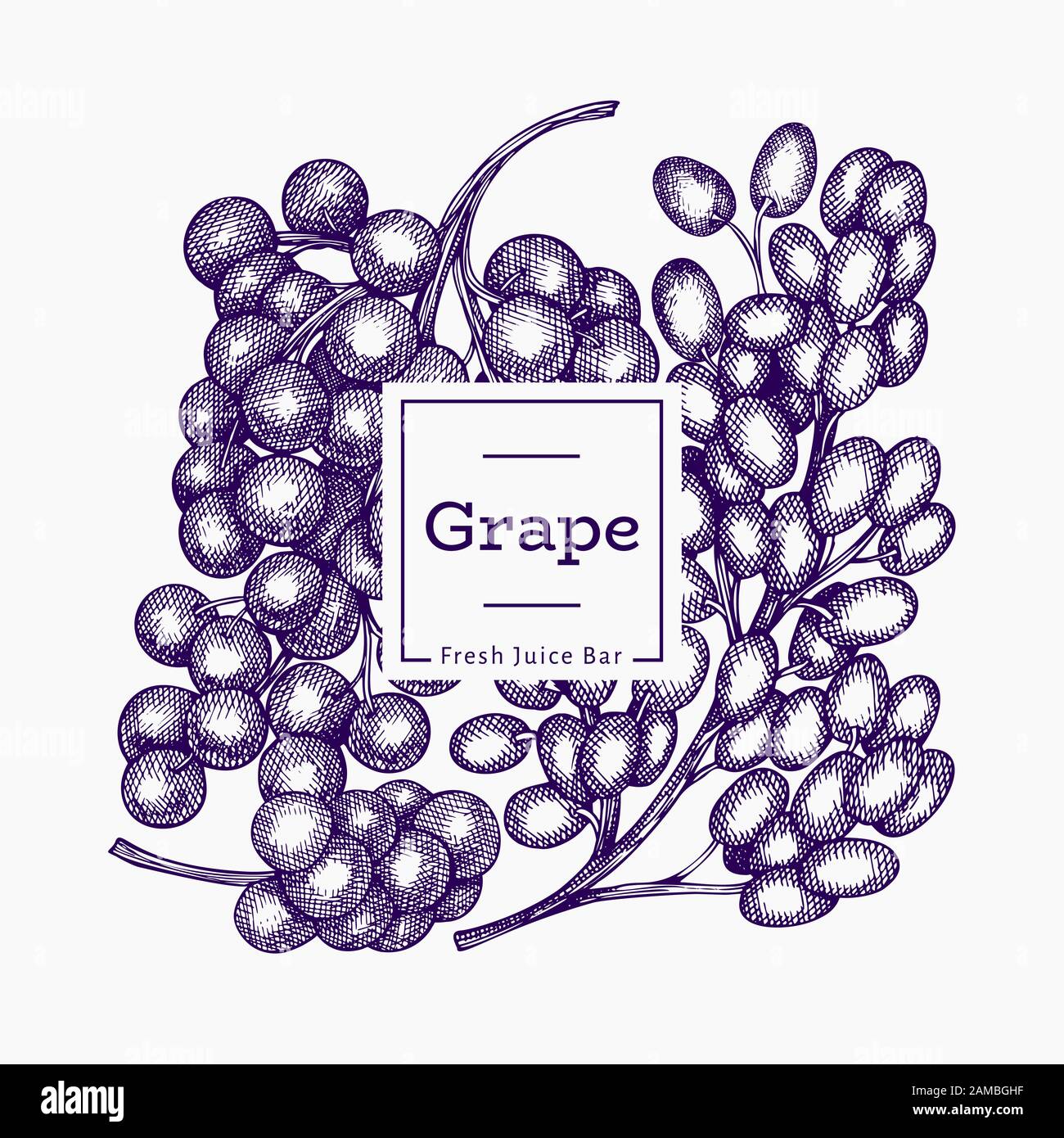 Grape design template. Hand drawn vector grape berry illustration ...