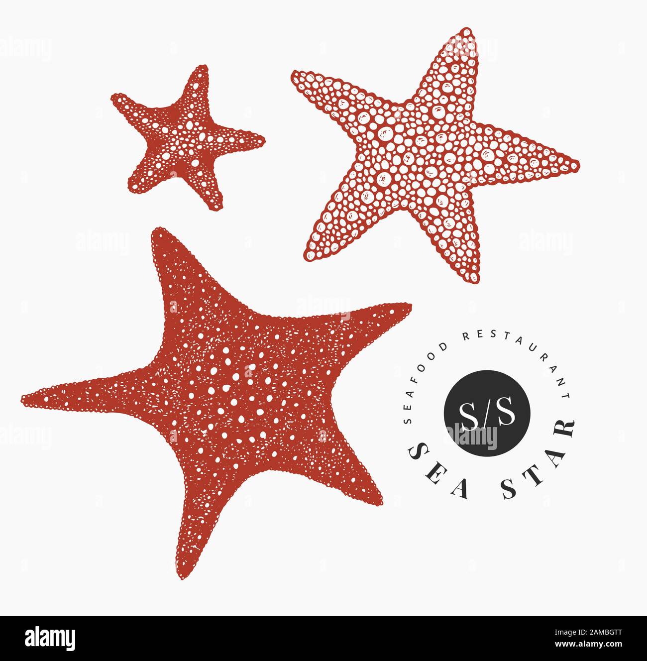 Seastars illustration set. Hand drawn vector marine animals ...