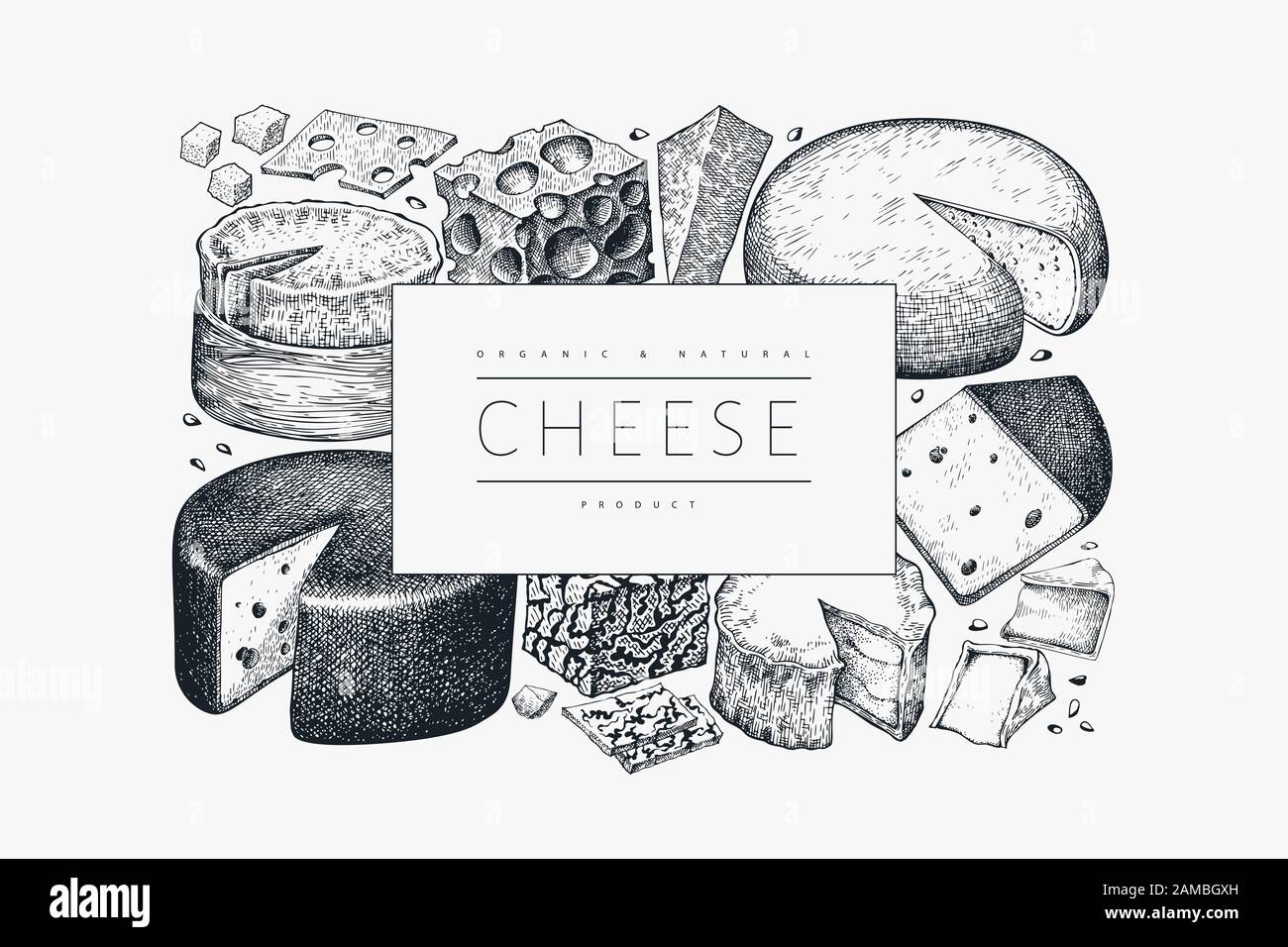Cheese design template. Hand drawn vector dairy illustration. Engraved ...