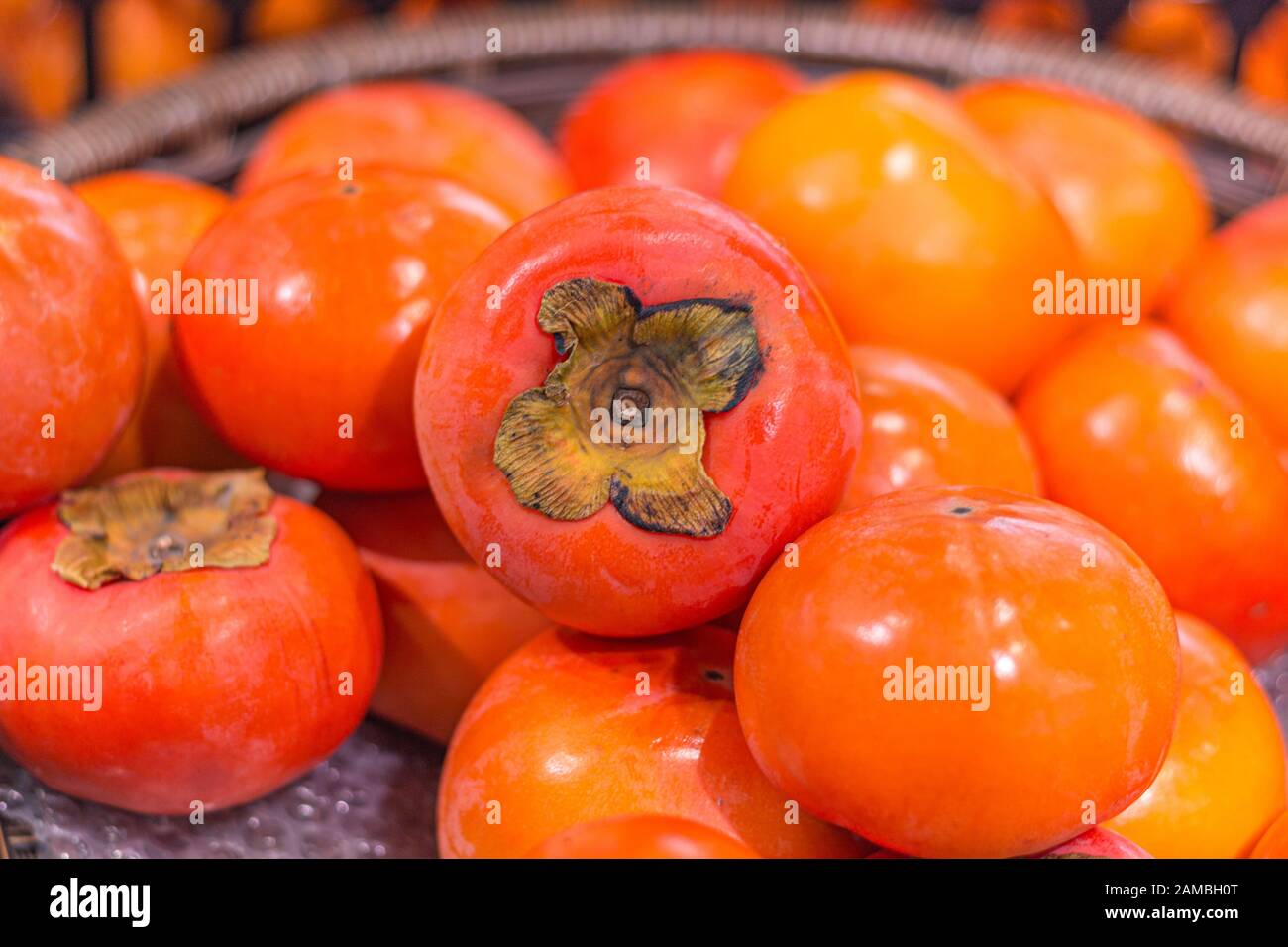 Ebenaceae hi-res stock photography and images - Alamy