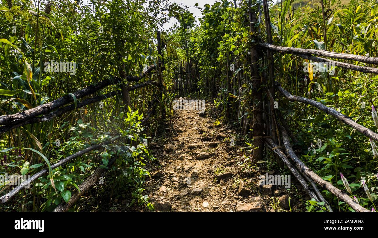Zarwani Waterfall High Resolution Stock Photography and Images - Alamy